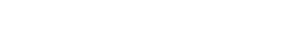 Stephen Chestnut Global