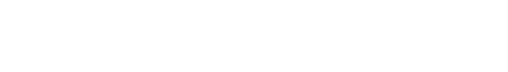 Stephen Chestnut Global